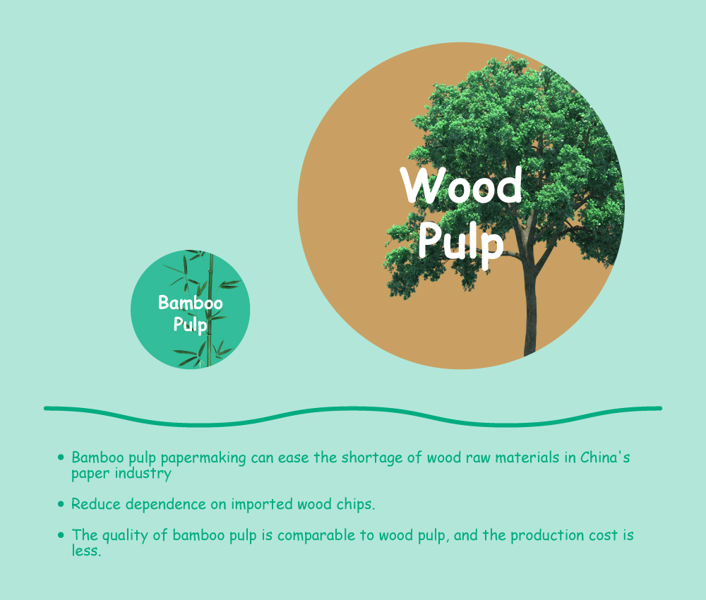 Potential and development direction of bamboo pulp and papermaking in ...